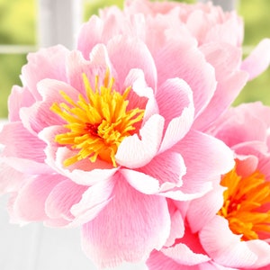 DIY Crepe Peony Paper Flower Template, Peony Paper Flower Svg Cut Files ...