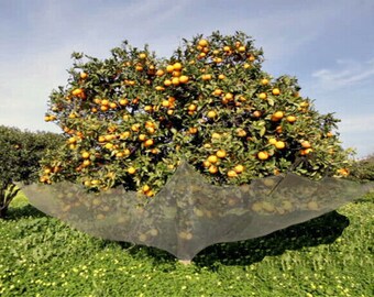 8'x8' Fruit Tree Catcher for Better Home Gardening & | Etsy