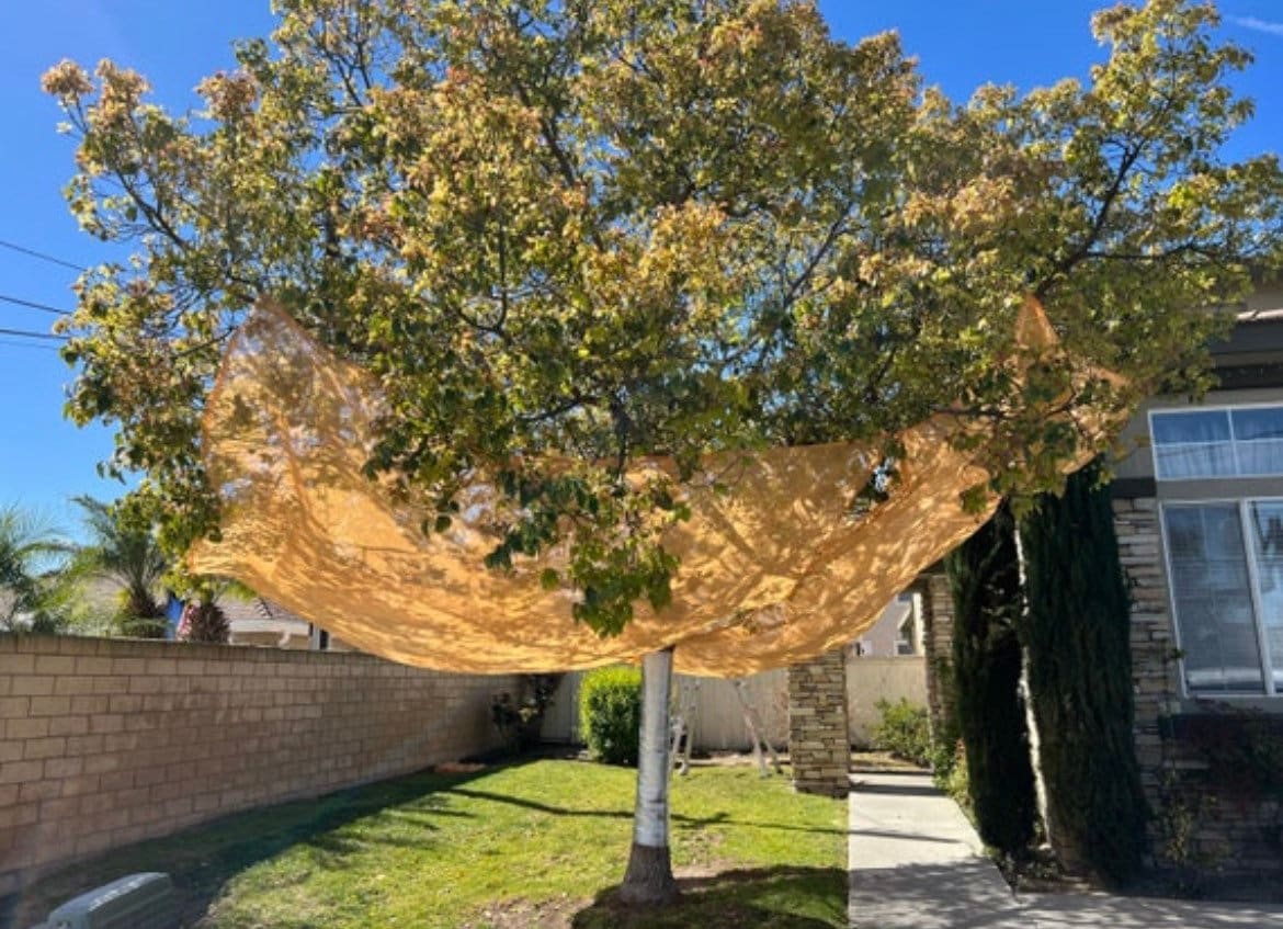 32' X 32' Fruit Protector Apple, Citrus, Cherry and Walnut Tree Catcher ...