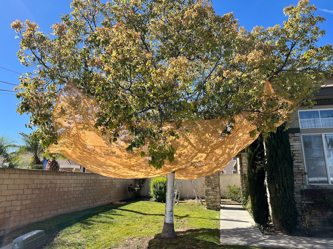 20x20’ Fruit Tree Catcher - Etsy