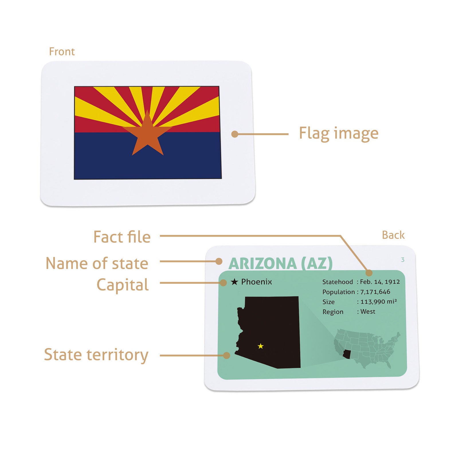 Flags of the U.S. States Flash Cards 2023 Edition - Etsy