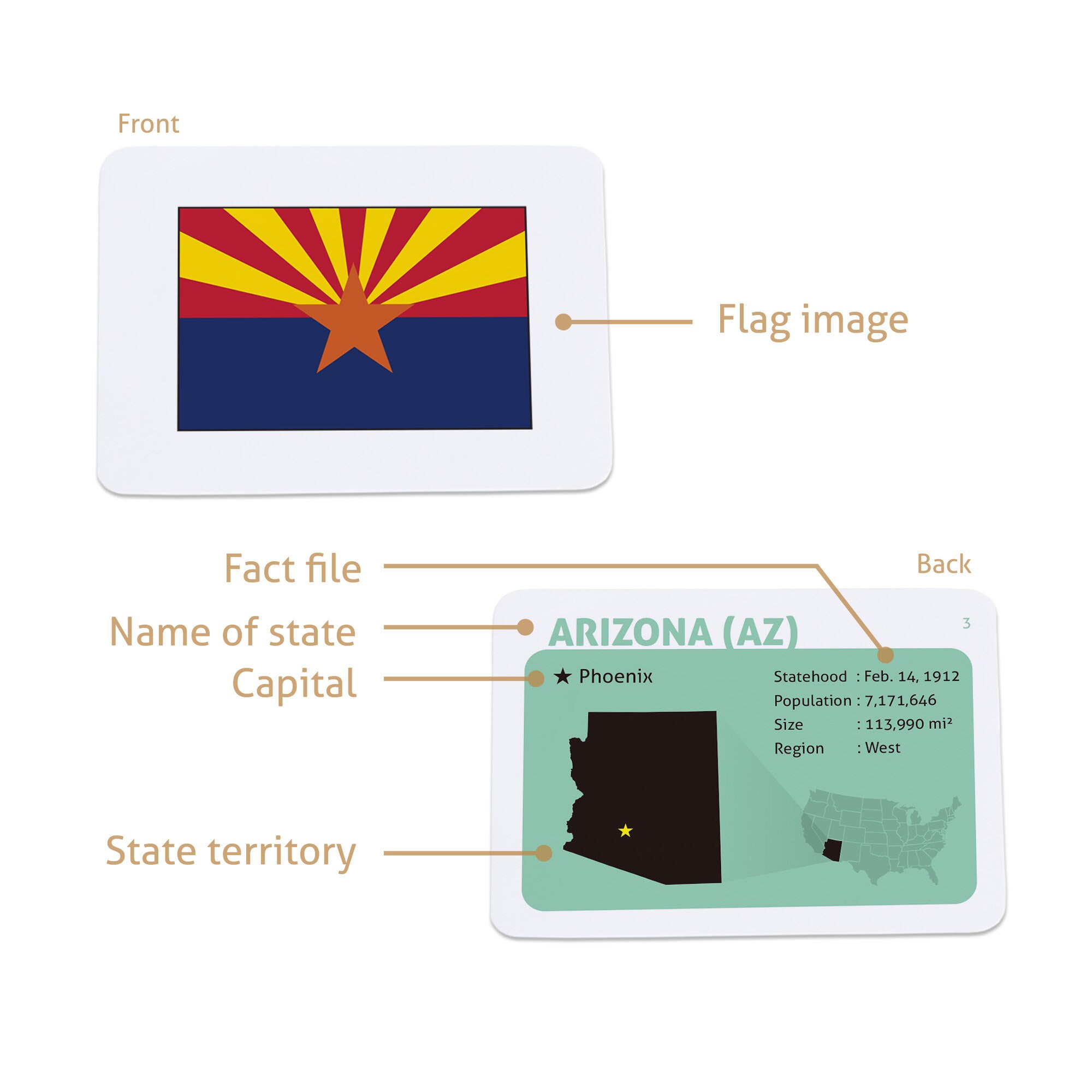 Flags of the U.S. States Flash Cards 2023 Edition - Etsy