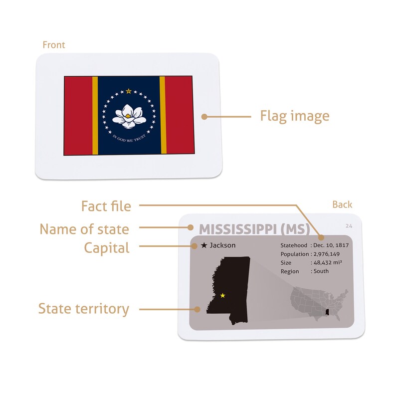 Flags of the U.S. States Flash Cards 2023 Edition - Etsy