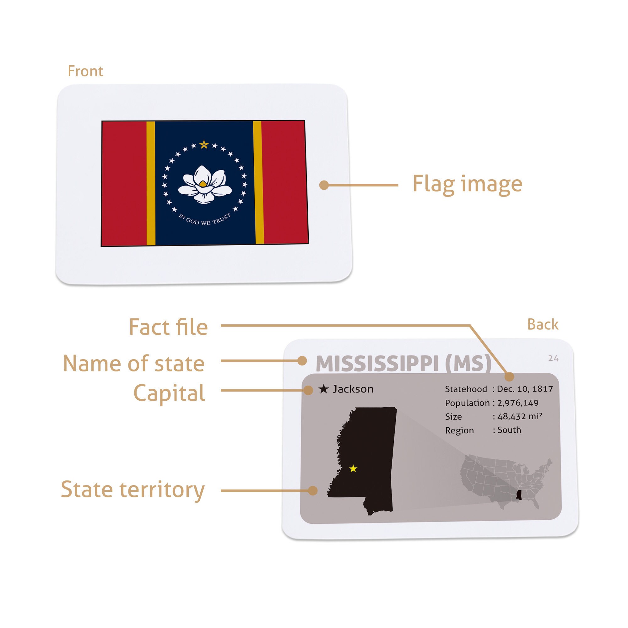 Flags of the U.S. States Flash Cards 2023 Edition - Etsy