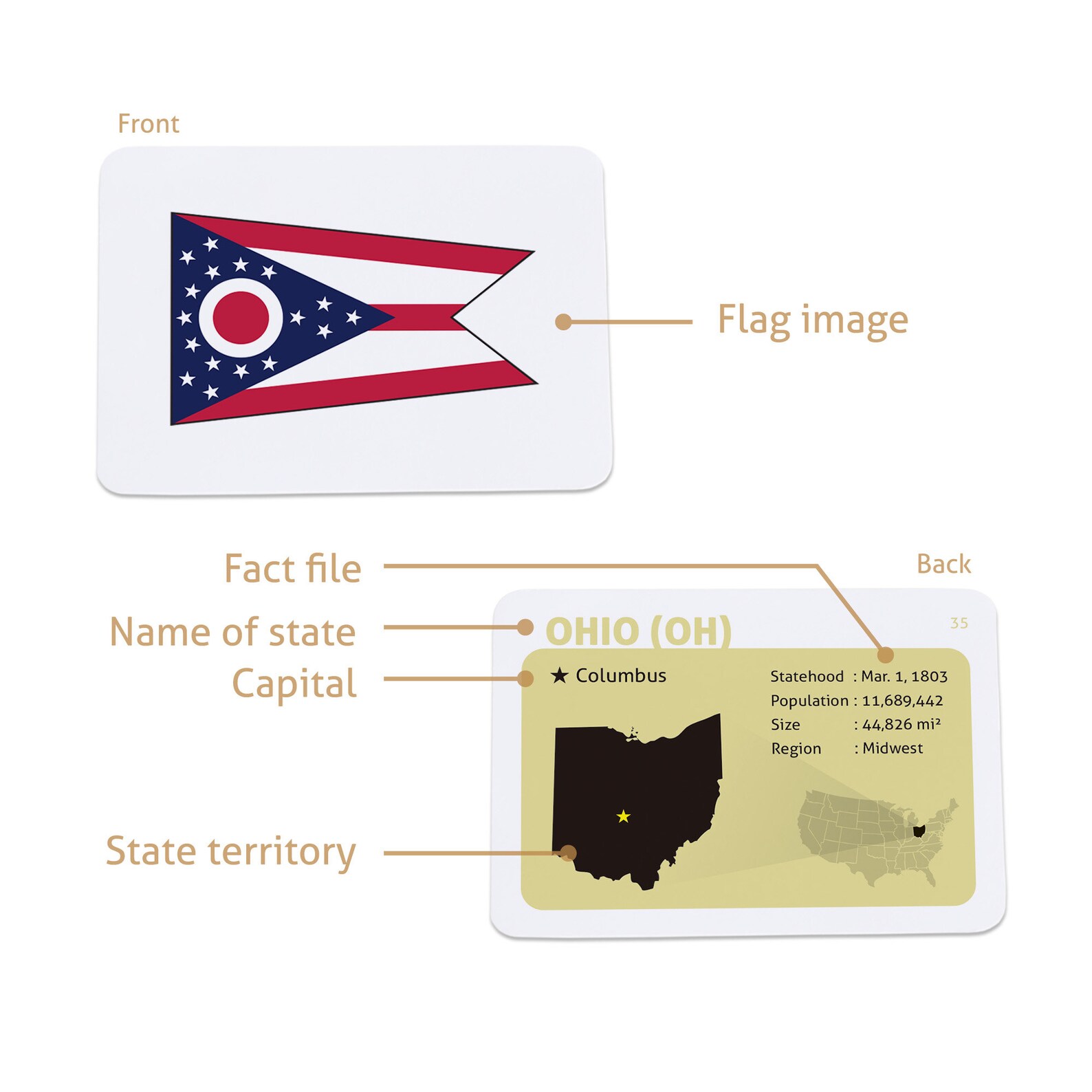 Flags of the U.S. States Flash Cards 2023 Edition - Etsy