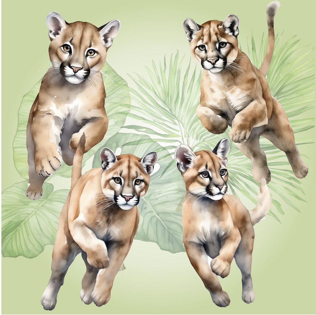 Watercolor Puma African Animals Jungle Safari Clipart Transparent PNG ...