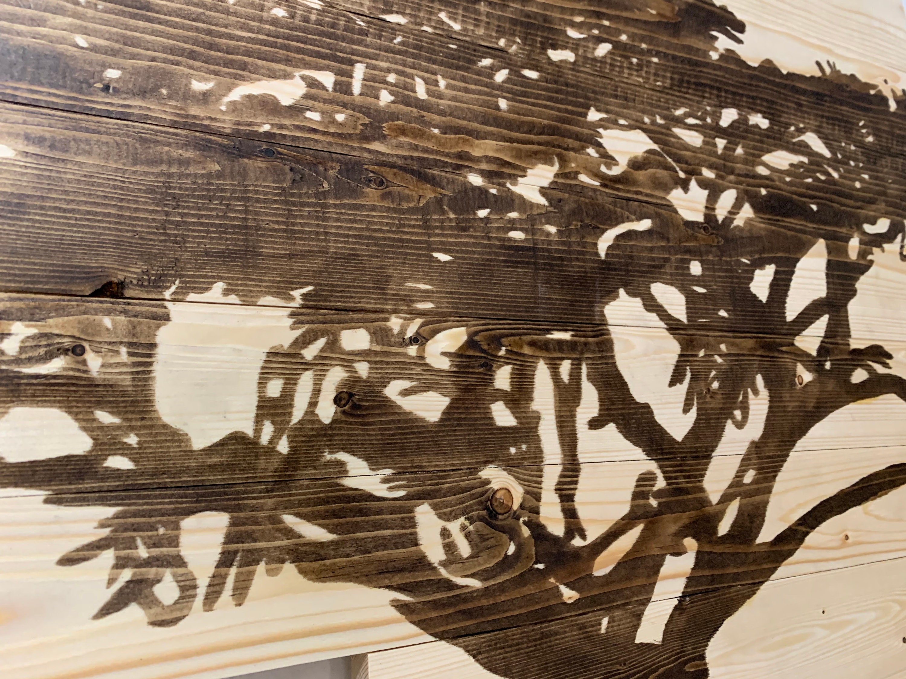 Acacia Tree Wall Art Tree Art African Art African Tree | Etsy