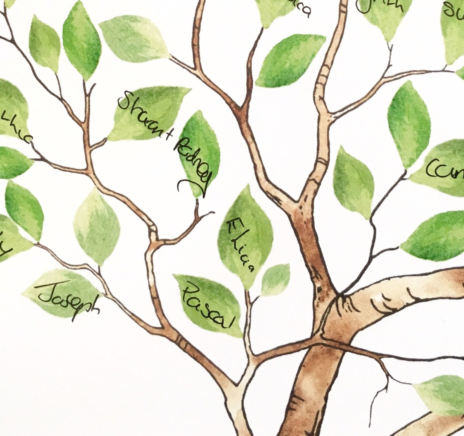 A2 Unity Tree With Leaves Added, Size for 80-120 Guests. Includes 1 ...