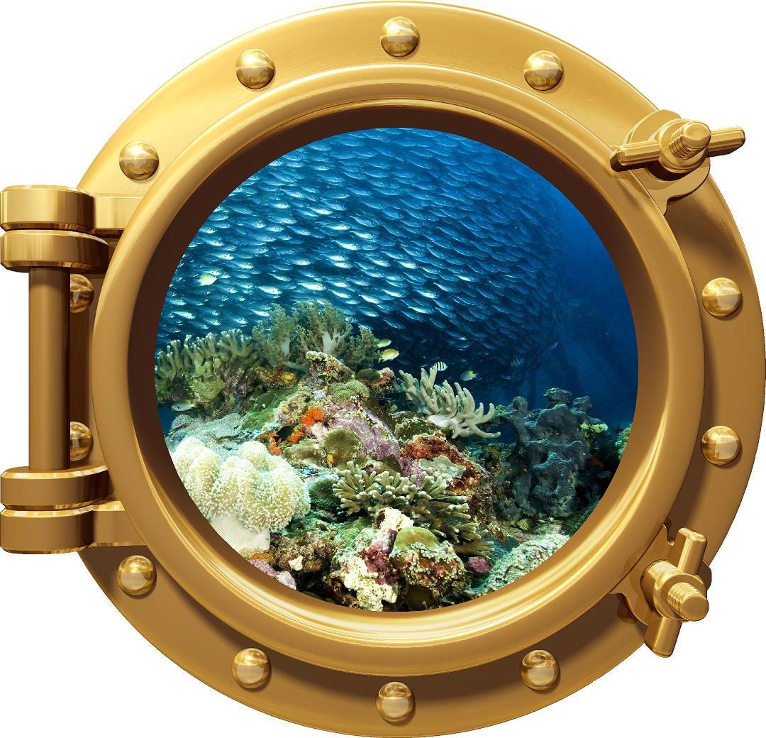 Port Scape Coral Reef 1 Porthole 3D Window Wall Decal Vinyl - Etsy