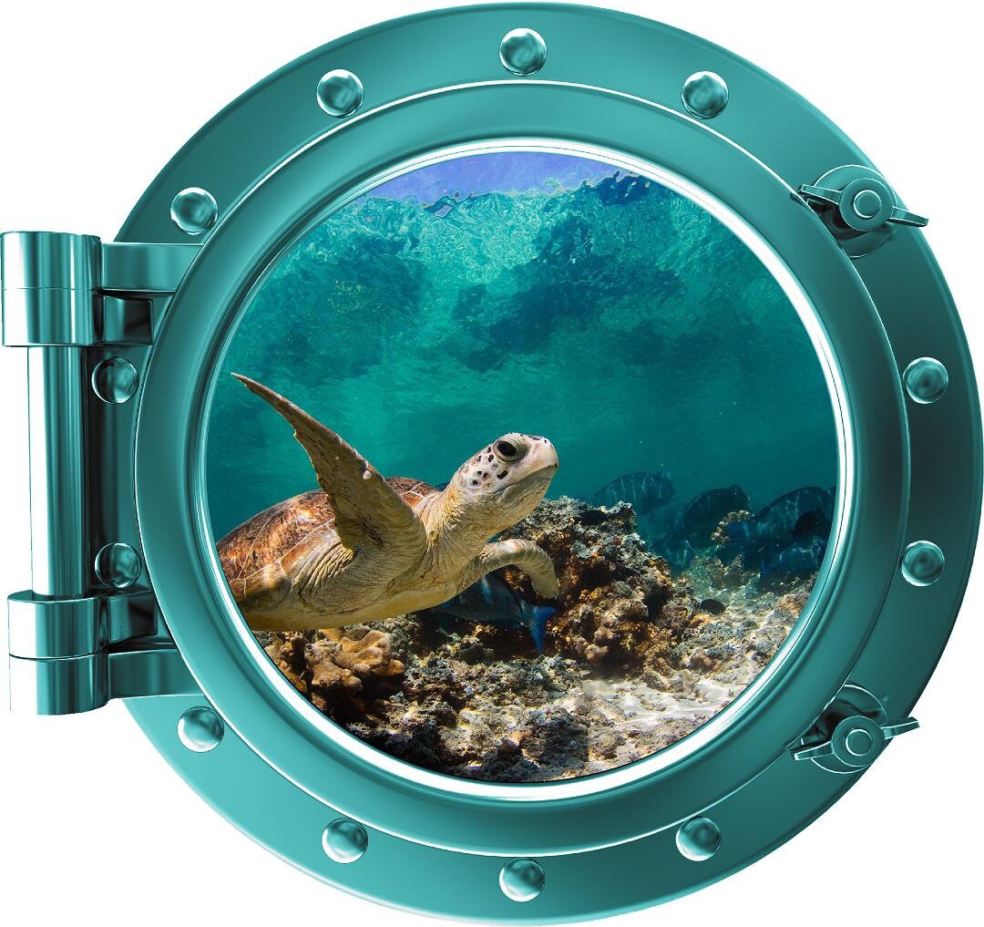 COLORED PORTSCAPE Aqua Sea Turtle #4 Porthole Wall Sticker Graphic ...