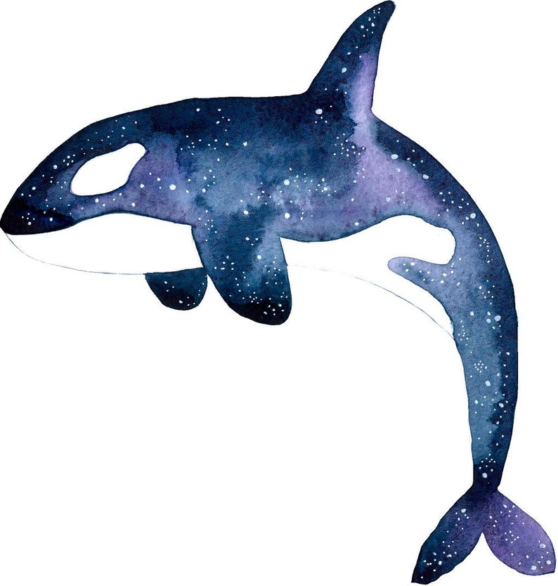Watercolor Galaxy Killer Whale Wall Decal Night Sky Orca Wall | Etsy