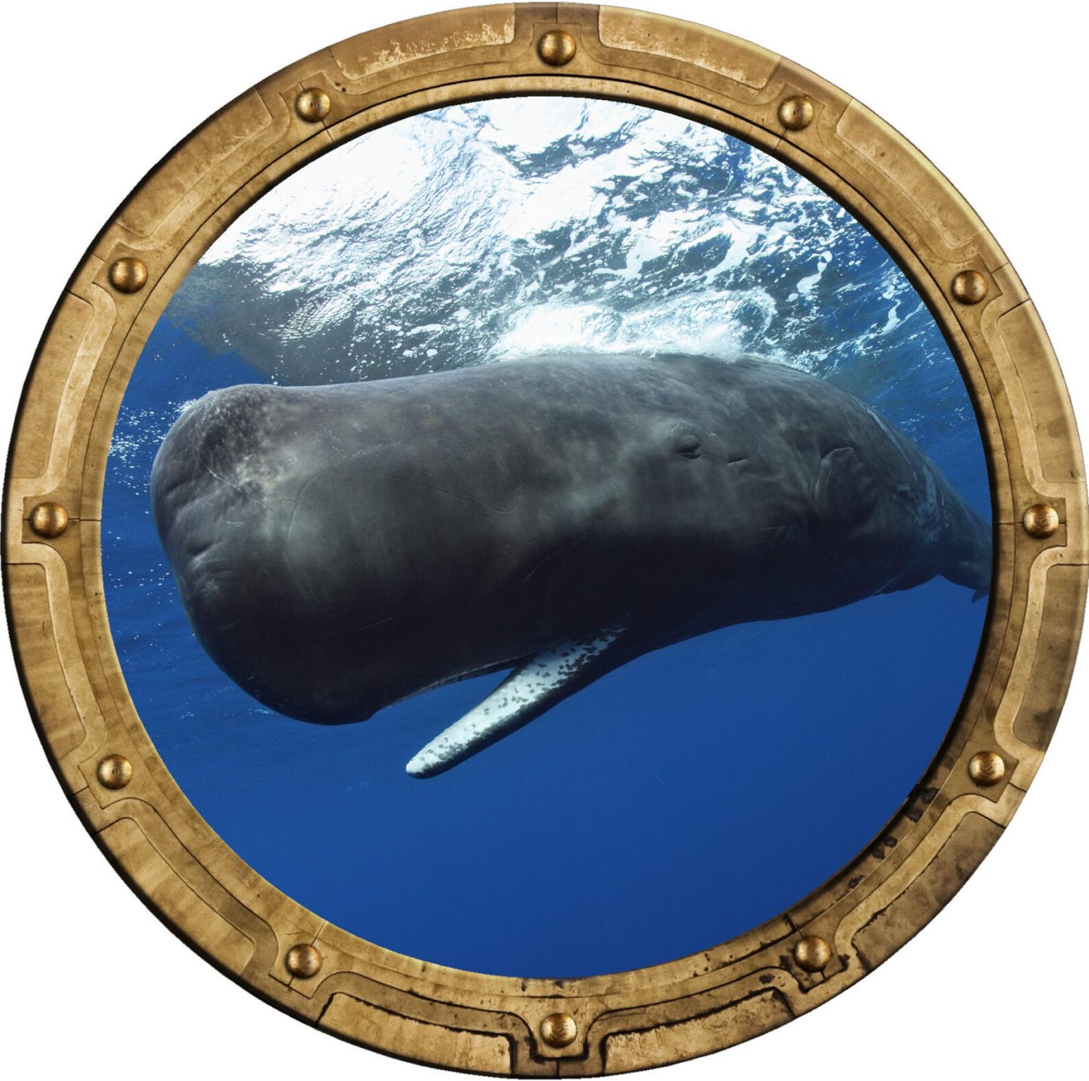 Port Scape Sperm Whale Porthole Window Wall Decal Fabric Vinyl Sticker ...