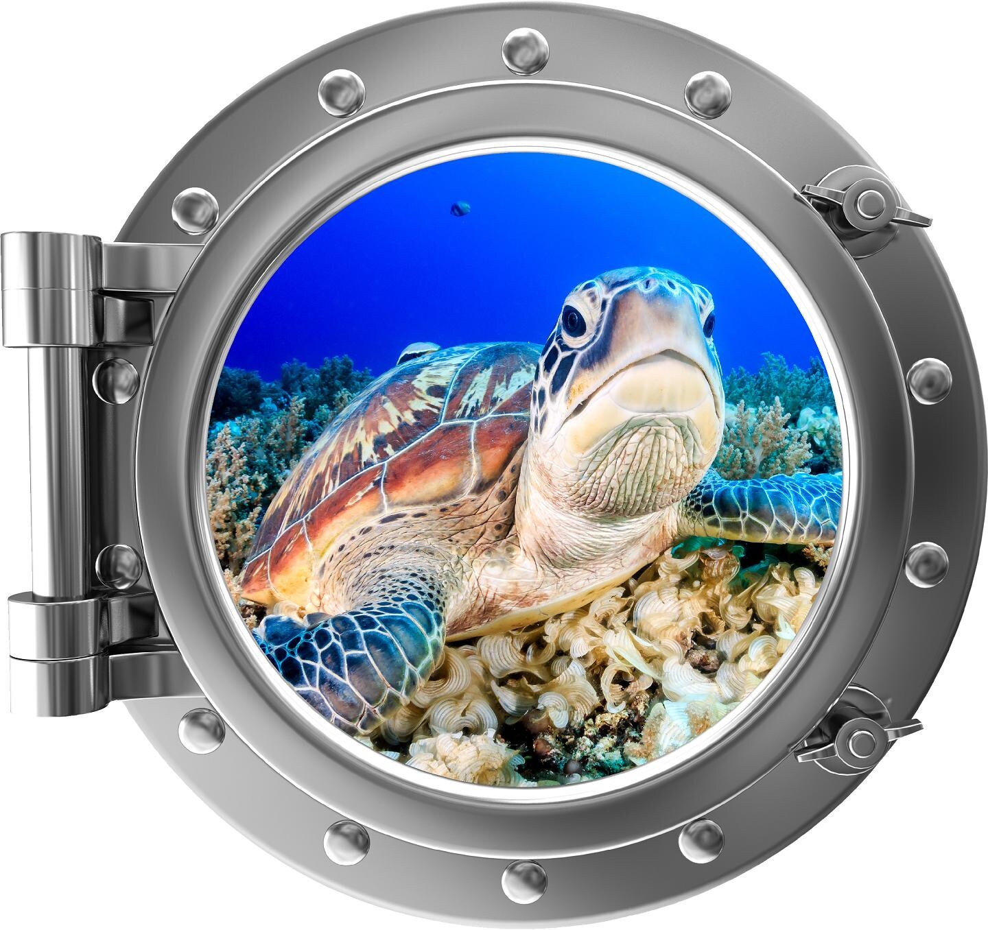 Port Scape Grumpy Sea Turtle WALL DECAL Porthole 3D Window Under the ...