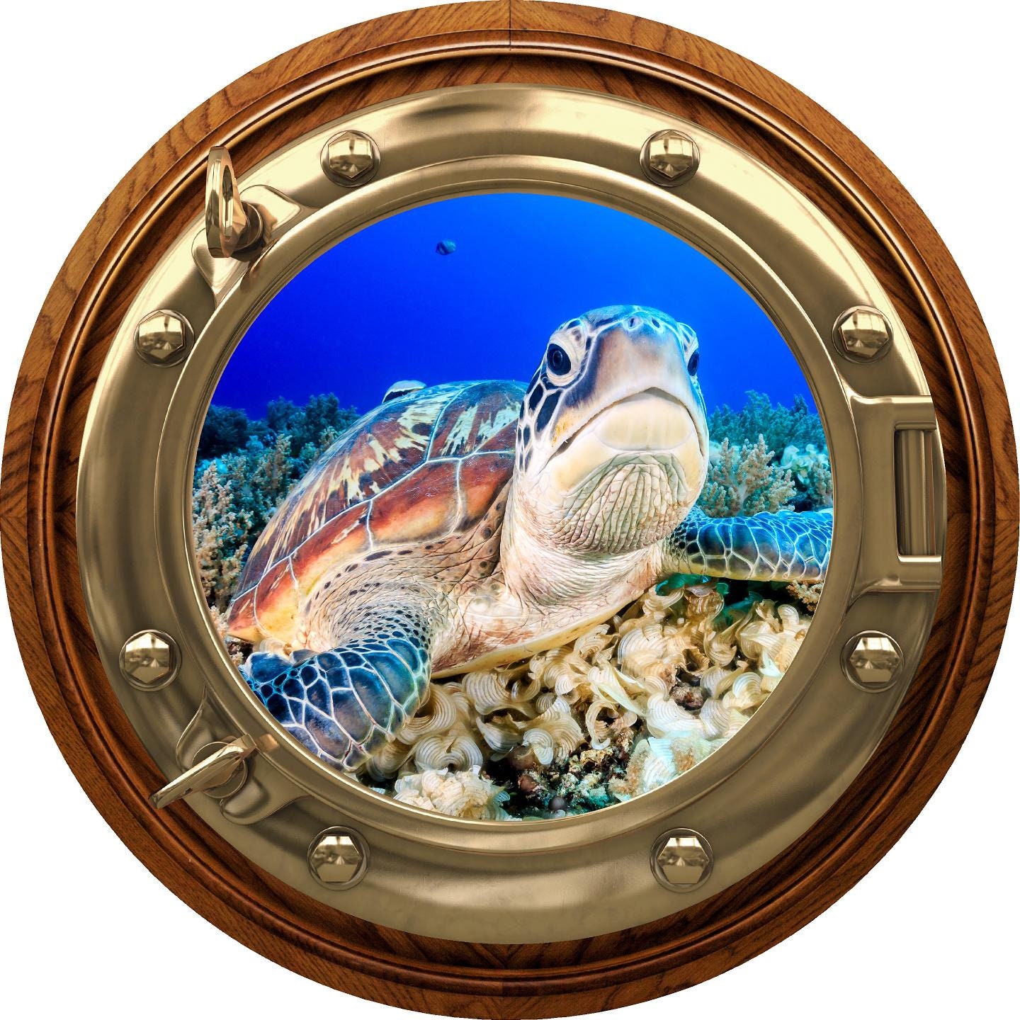 Port Scape Grumpy Sea Turtle WALL DECAL Porthole 3D Window | Etsy