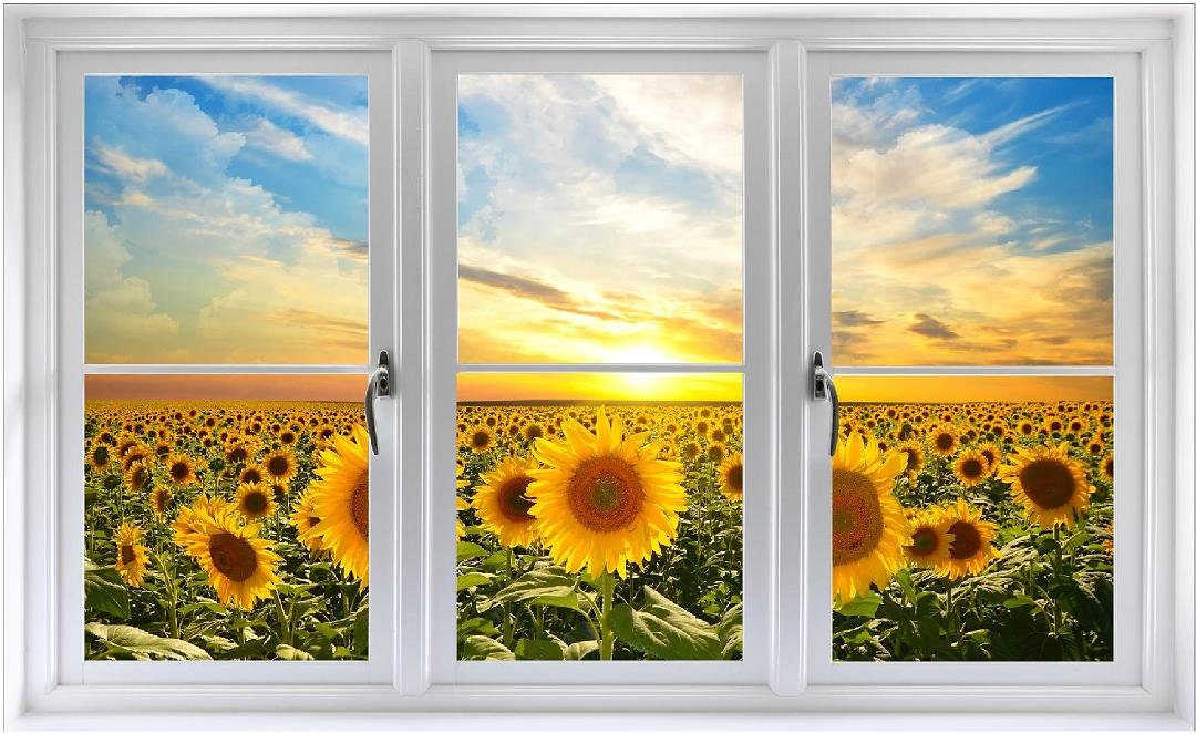 3D Window Sunflower Field Sunset #2 Wall Sticker Decal Yellow Flower ...