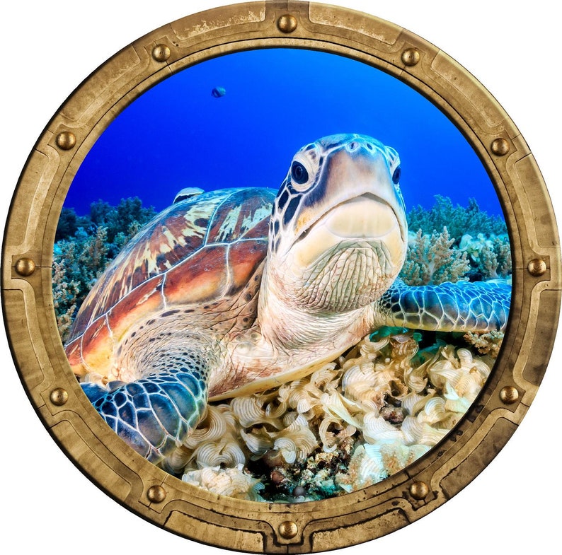 Port Scape Grumpy Sea Turtle WALL DECAL Porthole 3D Window Under the ...