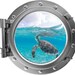 Port Scape Baby Turtle #6 Porthole Wall Sticker Decal Sea Turtles ...