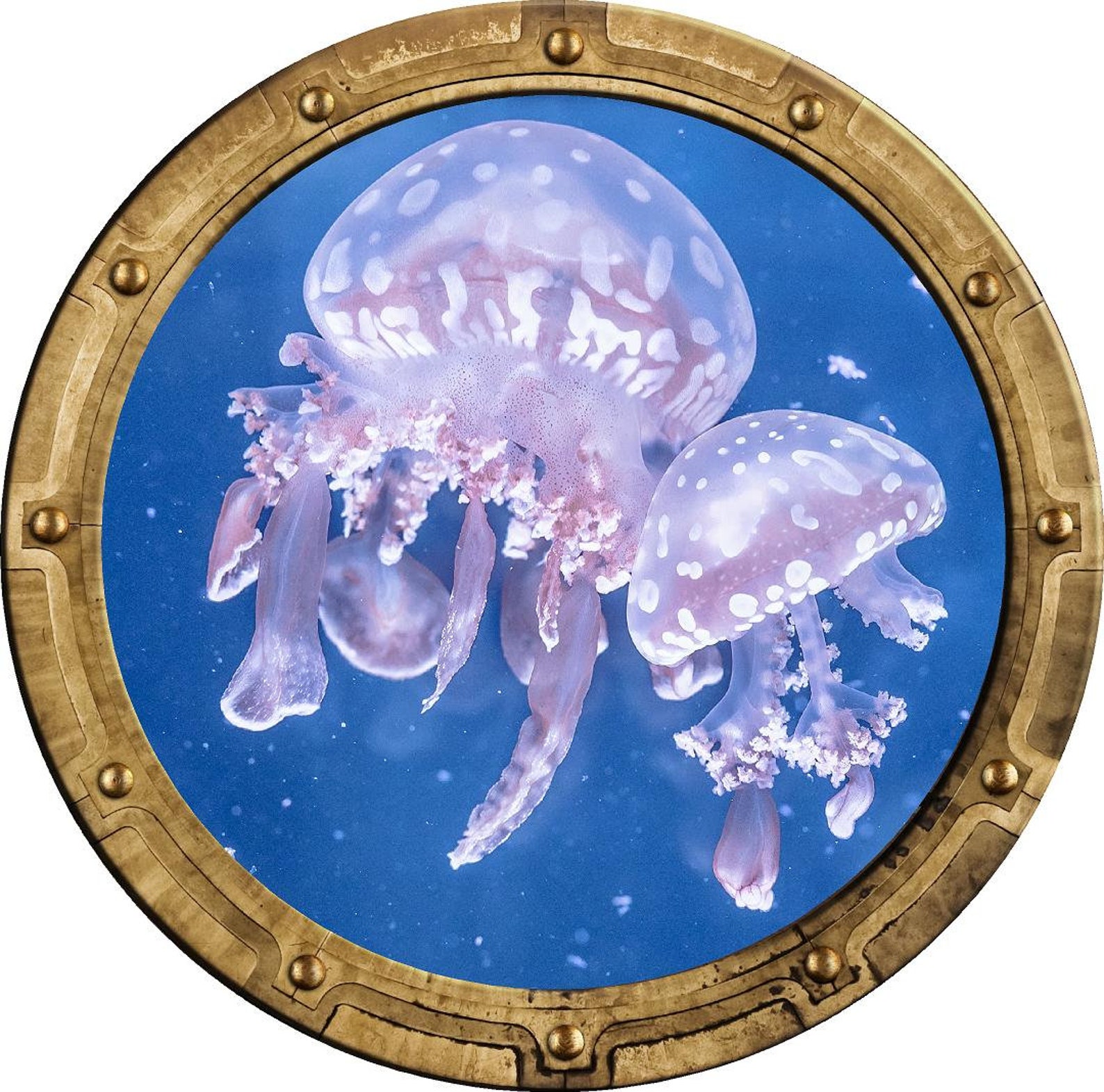 Port Scape Baby Jellyfish Porthole Window Wall Decal Vinyl Sticker ...