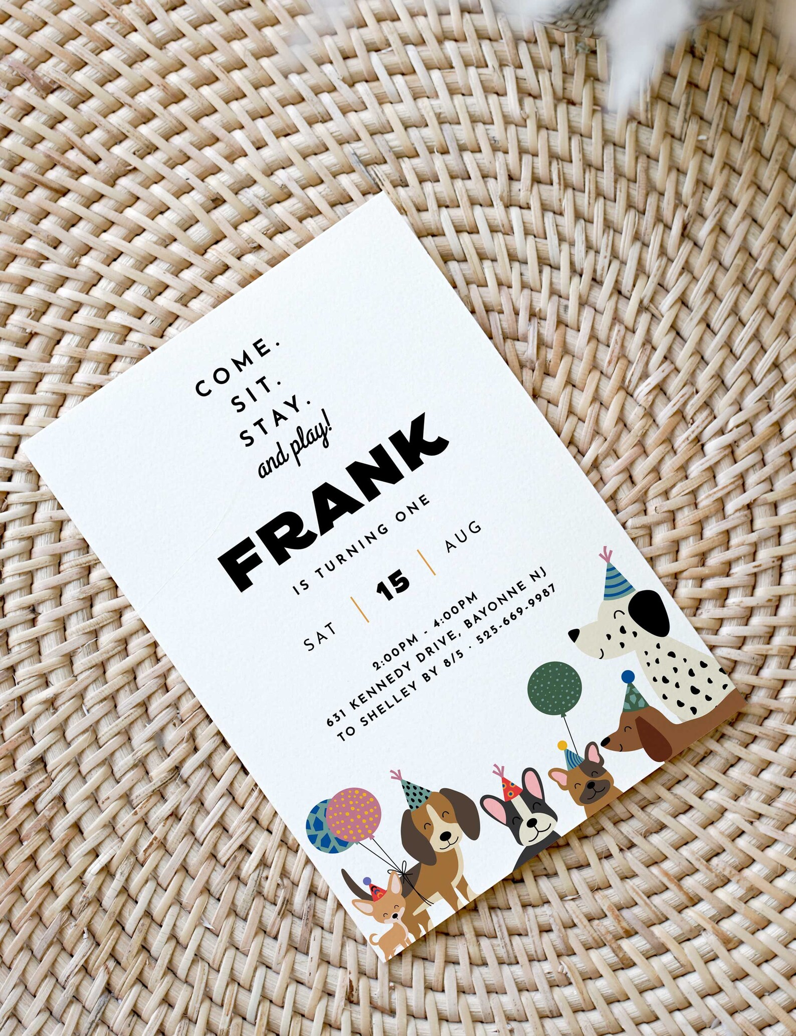 Dog 1st Birthday Invitation, Come Sit Stay Invitation, Dog Theme ...