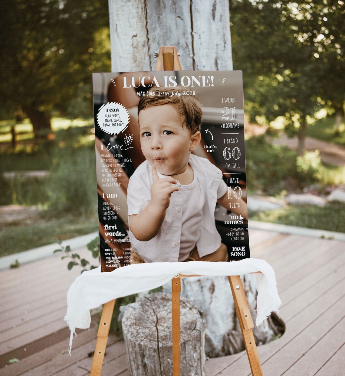 First Birthday Milestone Photo Board EDITABLE 1st Birthday - Etsy