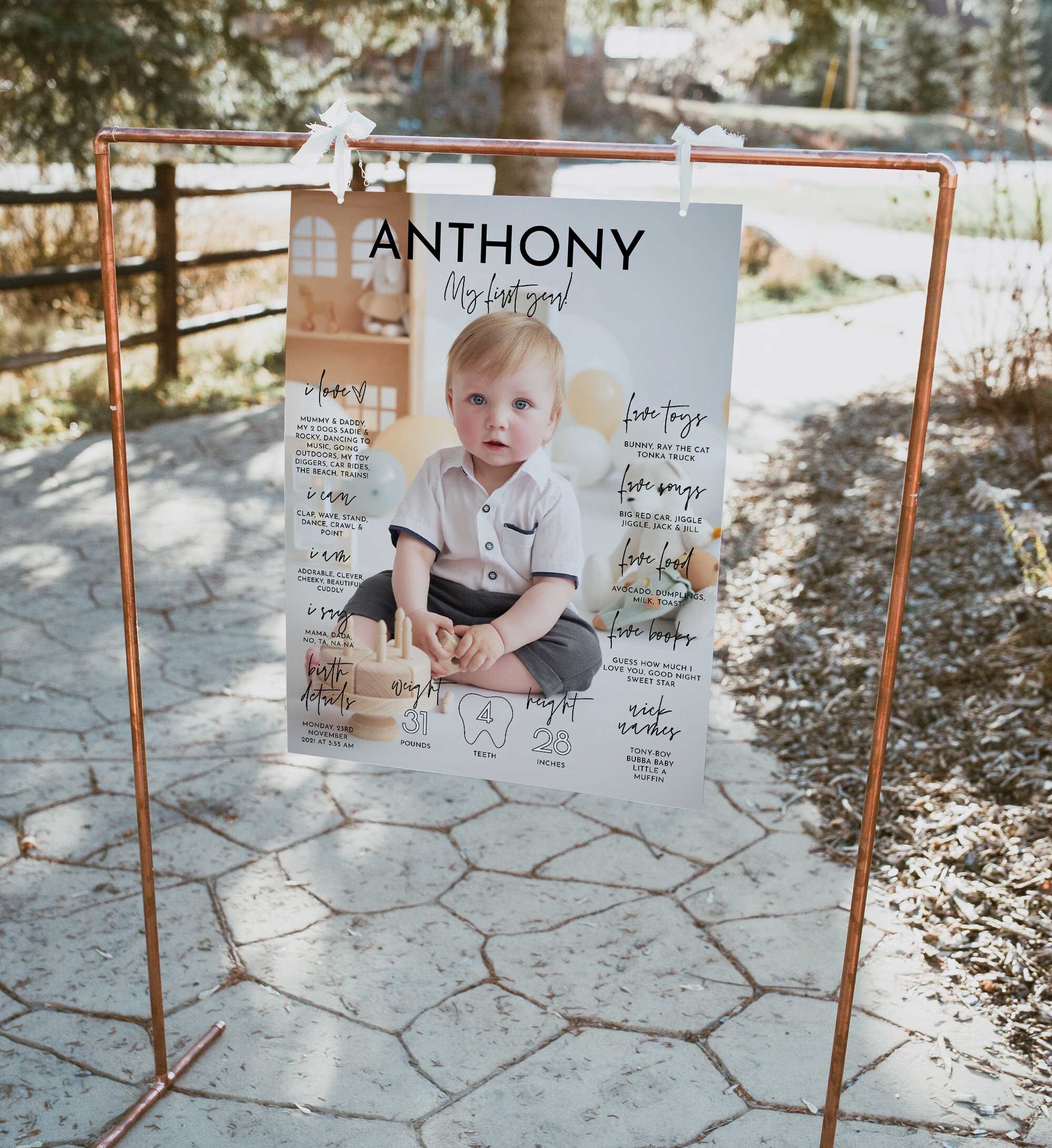 Baby's First Year Milestone Board Template Fully - Etsy