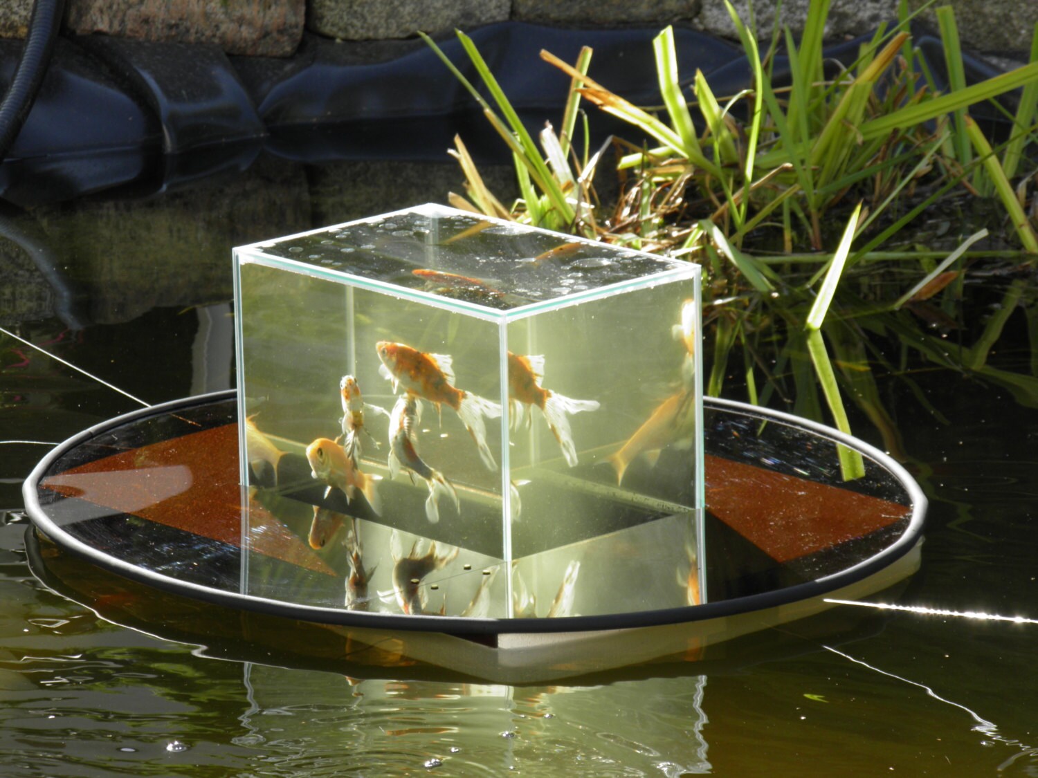 Flying-aquarium-oval© hover 1200 Umbra Fish Observatory Observation ...