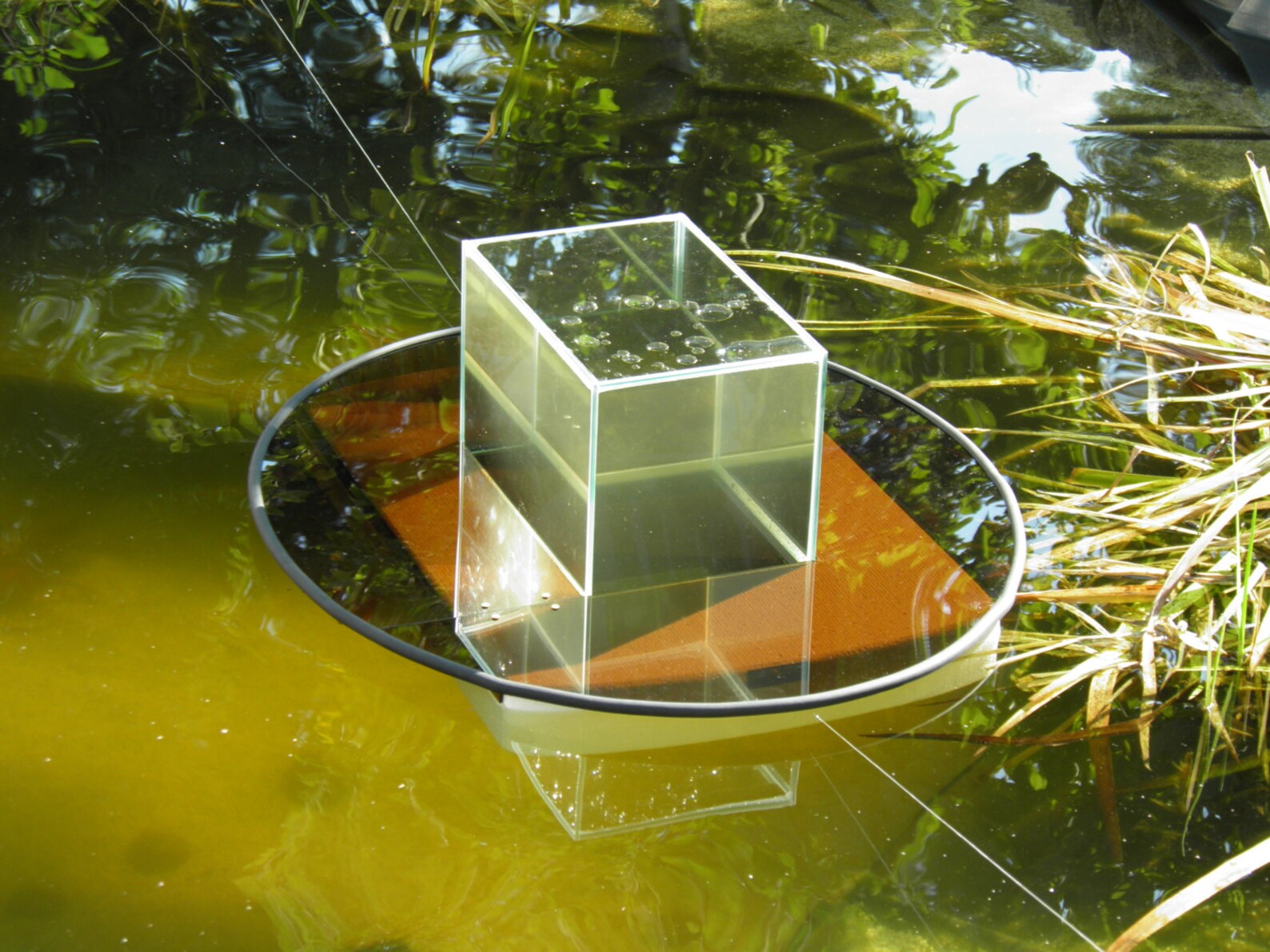 Flying-aquarium-oval© hover 1200 Umbra Fish Observatory Observation ...