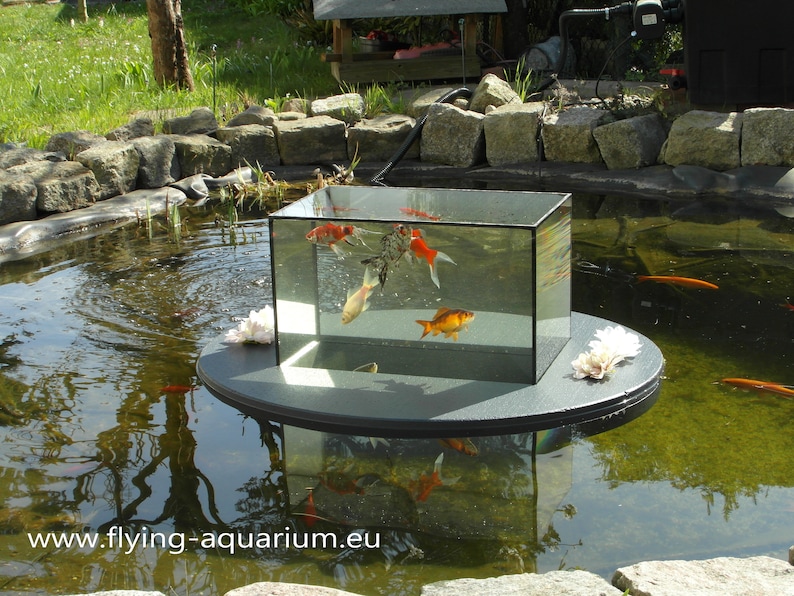 Flying-aquarium-oval© basic 4500 Gray the Floating Pond Aquarium Made ...