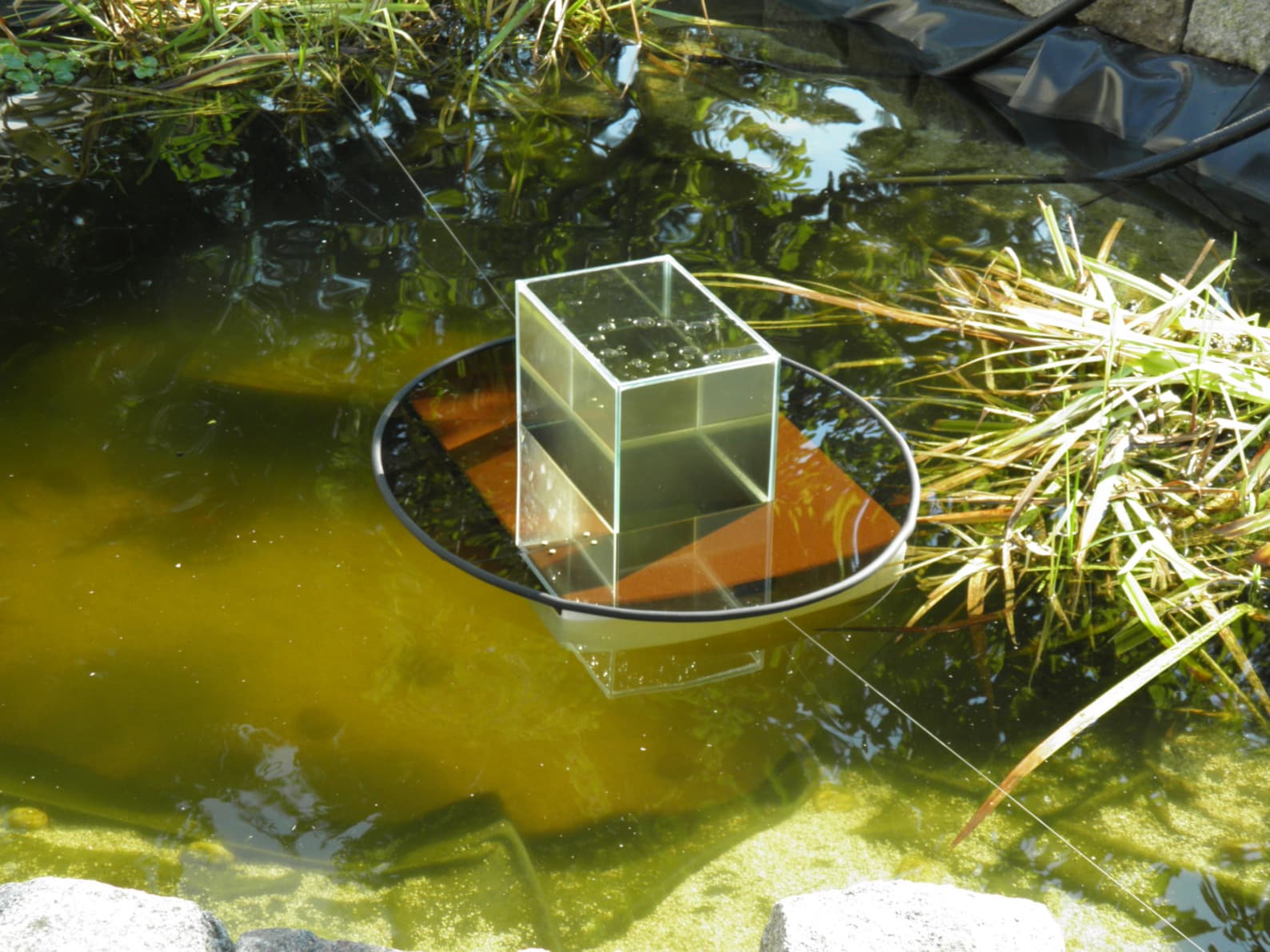 Flying-aquarium-oval© hover 1200 Umbra Fish Observatory Observation ...