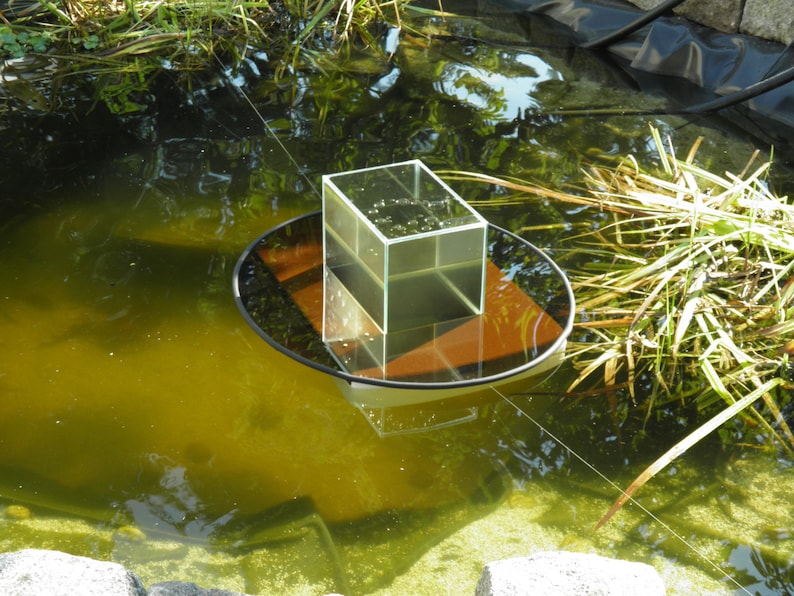 Flying-aquarium-oval© "hover" 1200 Umbra Fish Observatory Observation ...