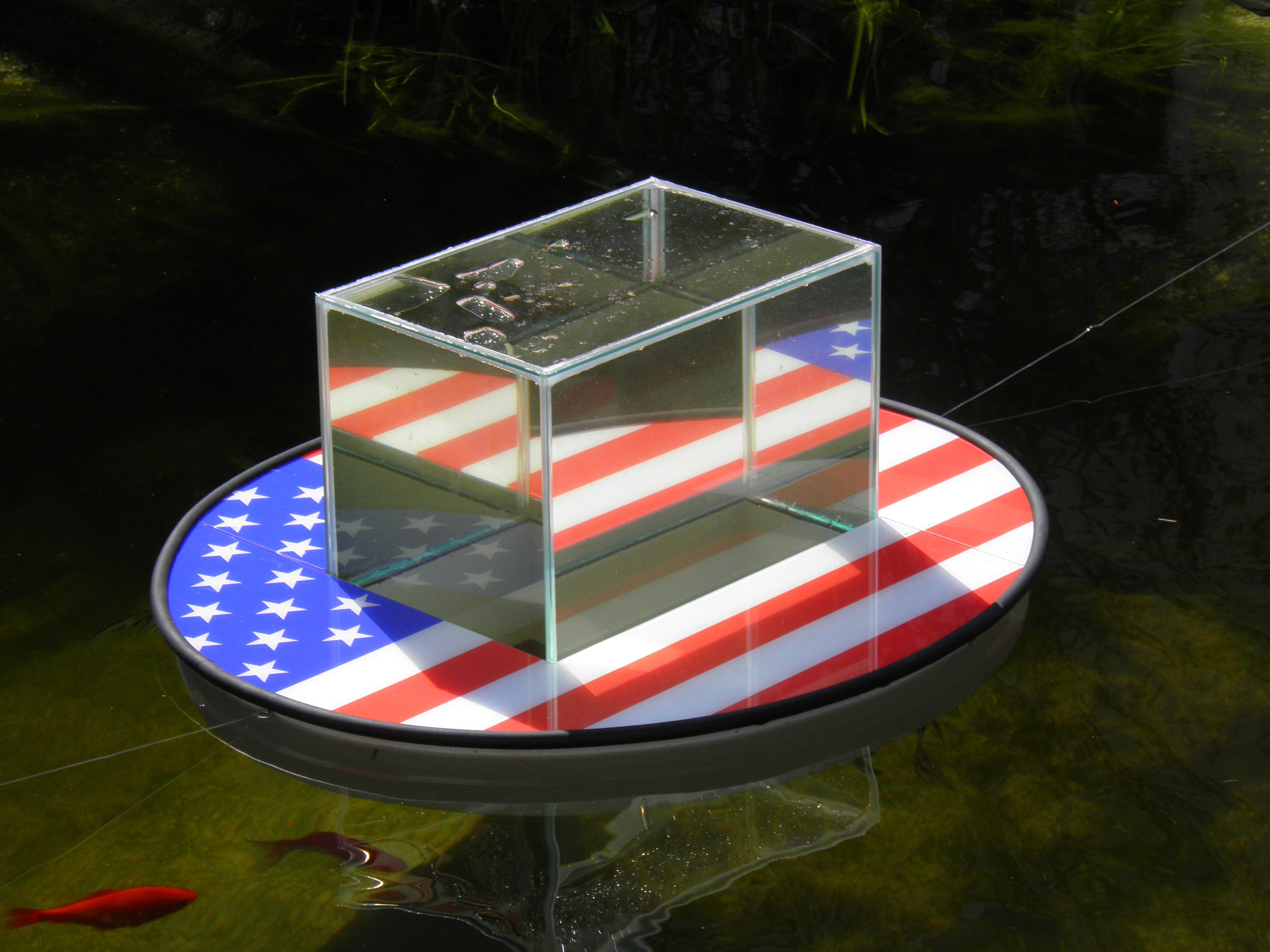 Flying-aquarium-oval© "elegance" 1200 US Flag Fish Observatory ...