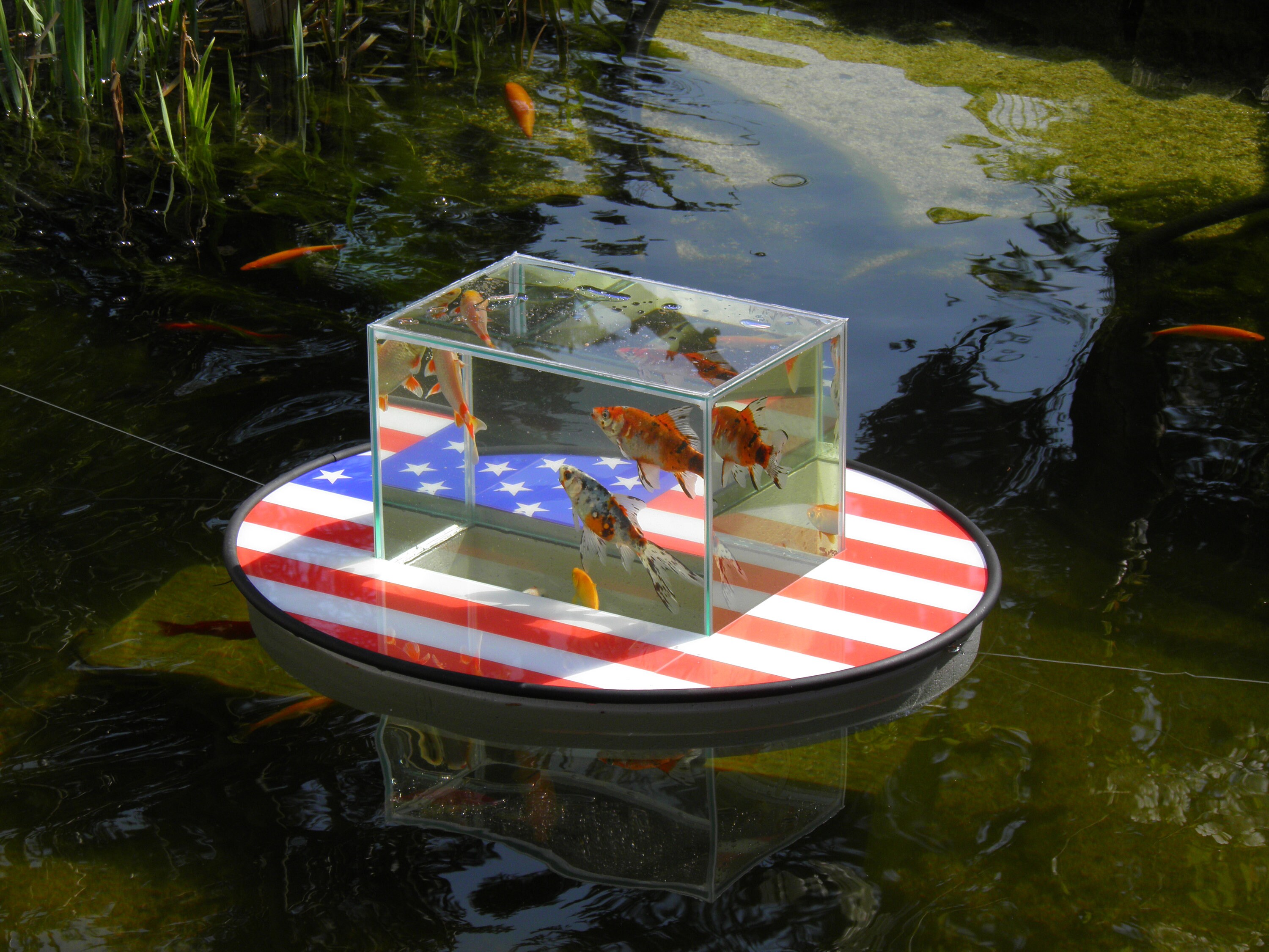 Flying-aquarium-oval© "elegance" 1200 US Flag Fish Observatory ...