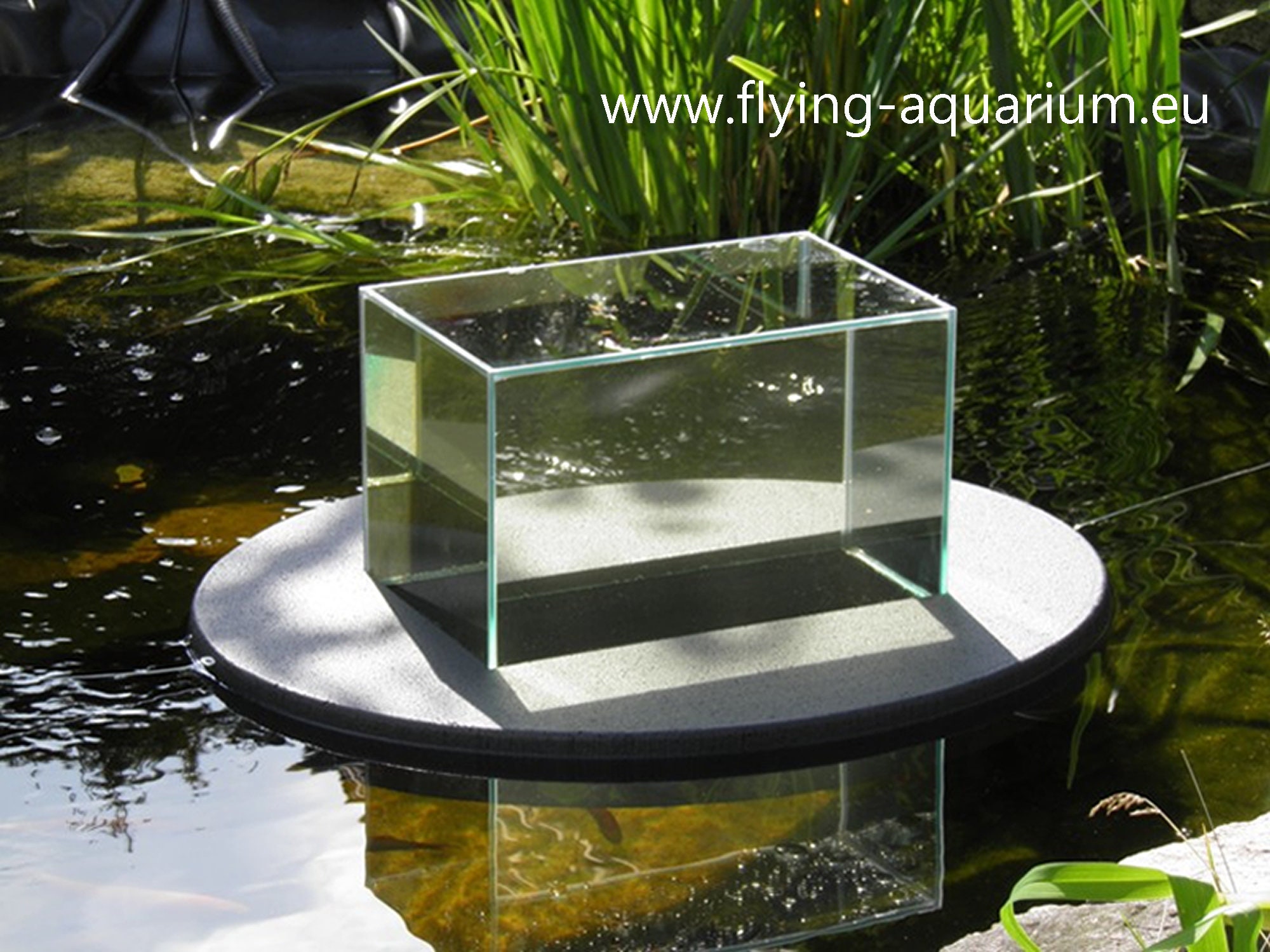 Flying-aquarium-oval© basic 2500 Gray the Floating Pond Aquarium Made ...