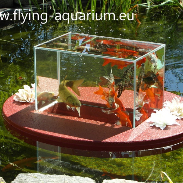 FlyingAquarium - Etsy