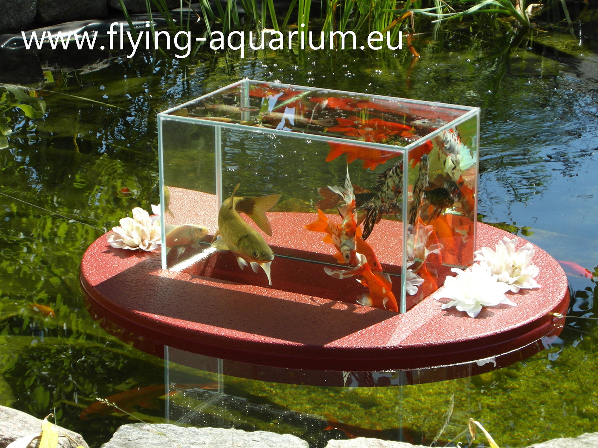 Flying-aquarium-oval© "basic" 2500 Red the Floating Pond Aquarium Made ...