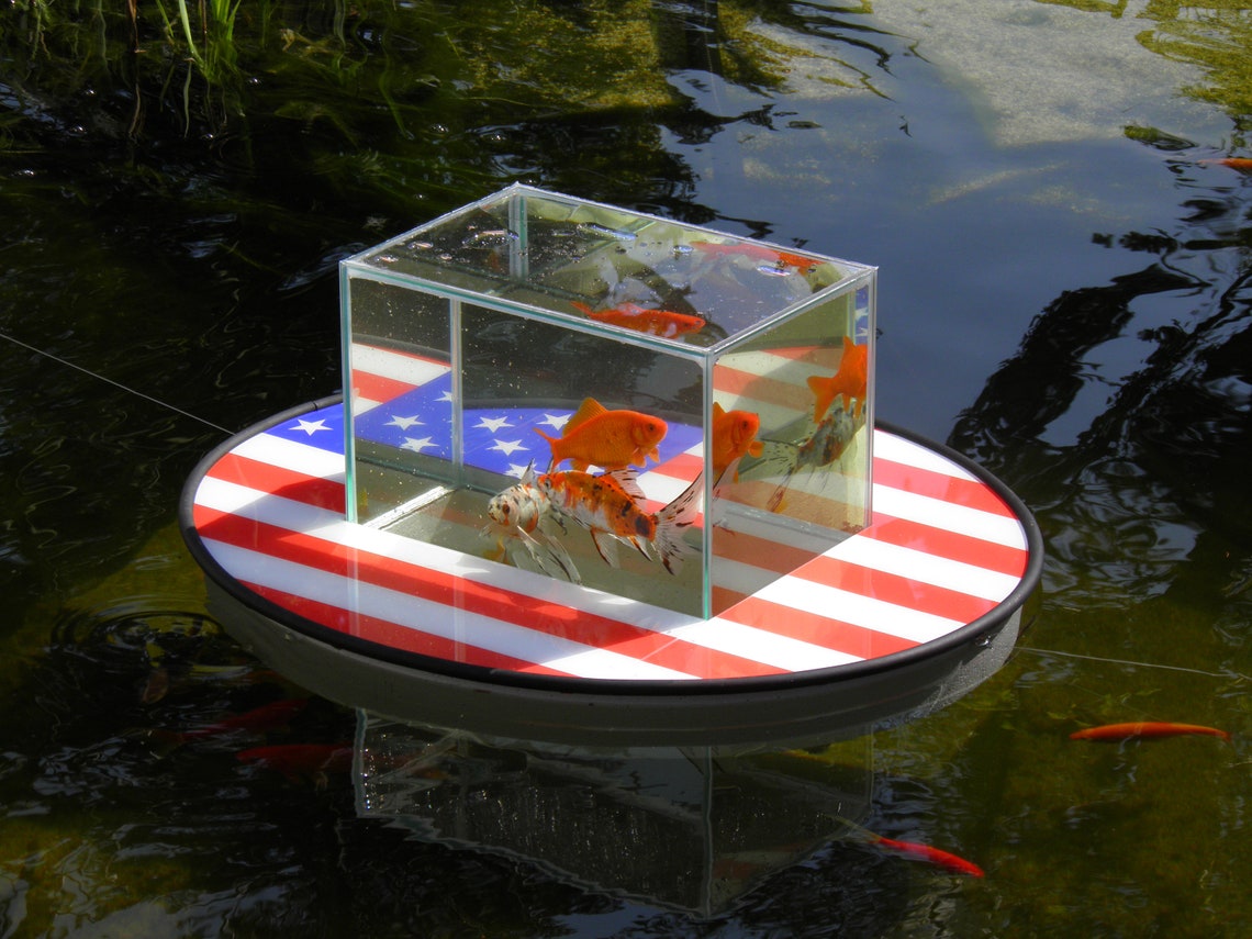 Flying-aquarium-oval© "elegance" 1200 US Flag Fish Observatory ...