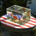 Flying-aquarium-oval© "elegance" 1200 US Flag Fish Observatory ...