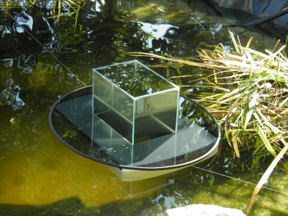 Flying-aquarium-oval© "hover" 1200 Gray Fish Observatory Observation ...