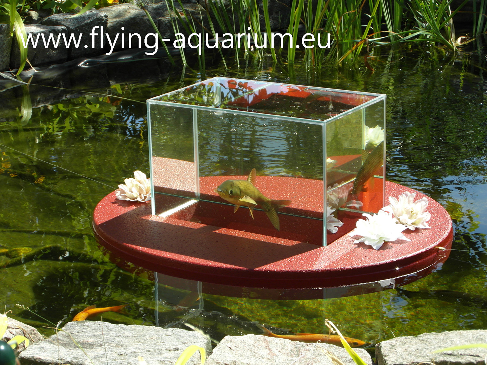 Flying-aquarium-oval© "basic" 2500 Red the Floating Pond Aquarium Made ...