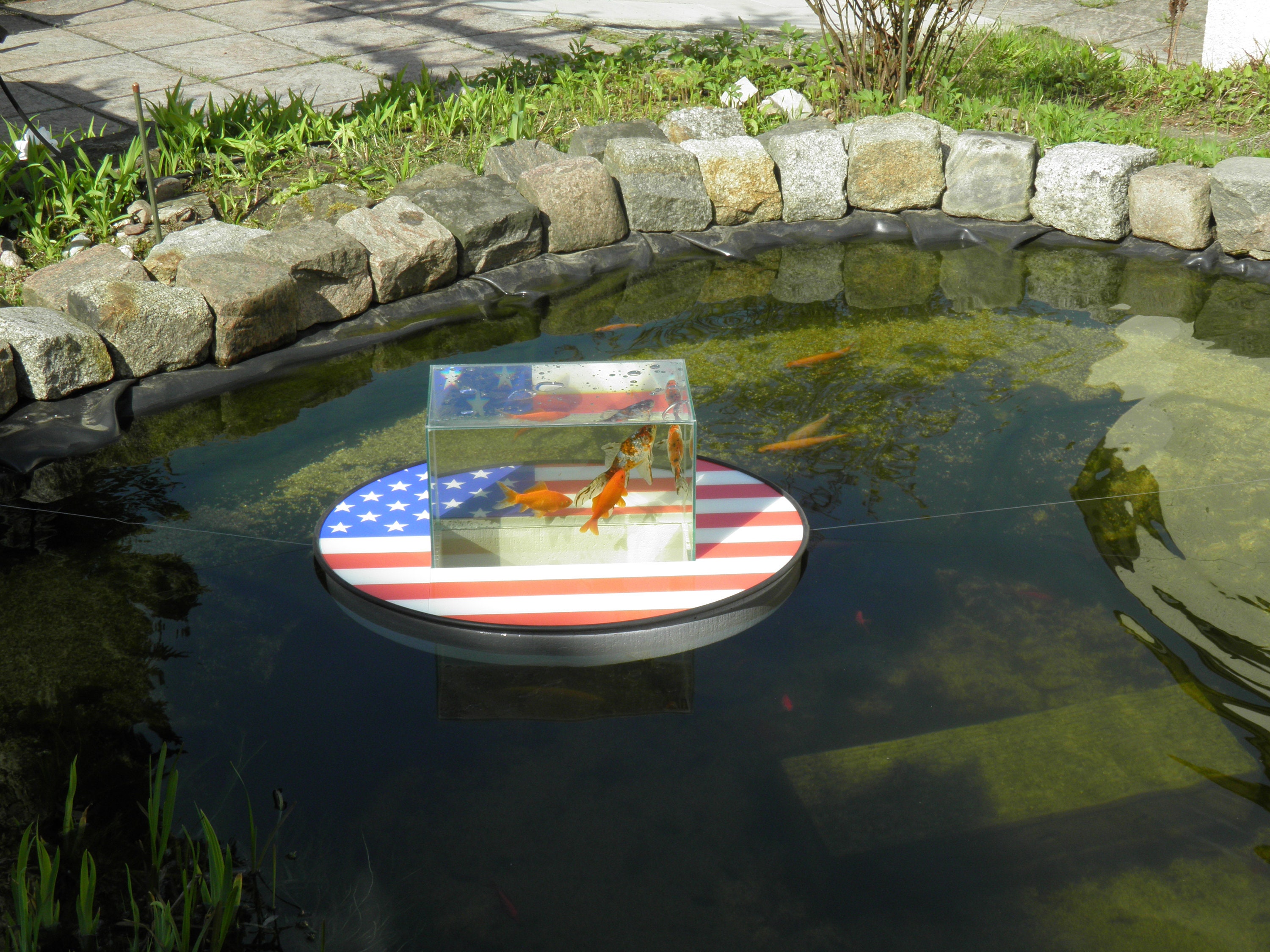 Flying-aquarium-oval© "elegance" 2500 US Flag the Floating Pond ...