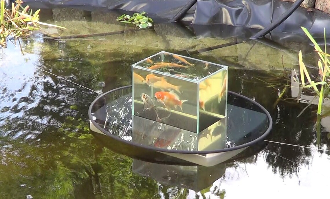 Flying-aquarium-oval© "hover" 1200 Gray Fish Observatory Observation ...