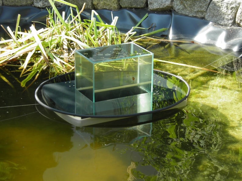 Flying-aquarium-oval© "hover" 1200 Gray Fish Observatory Observation ...