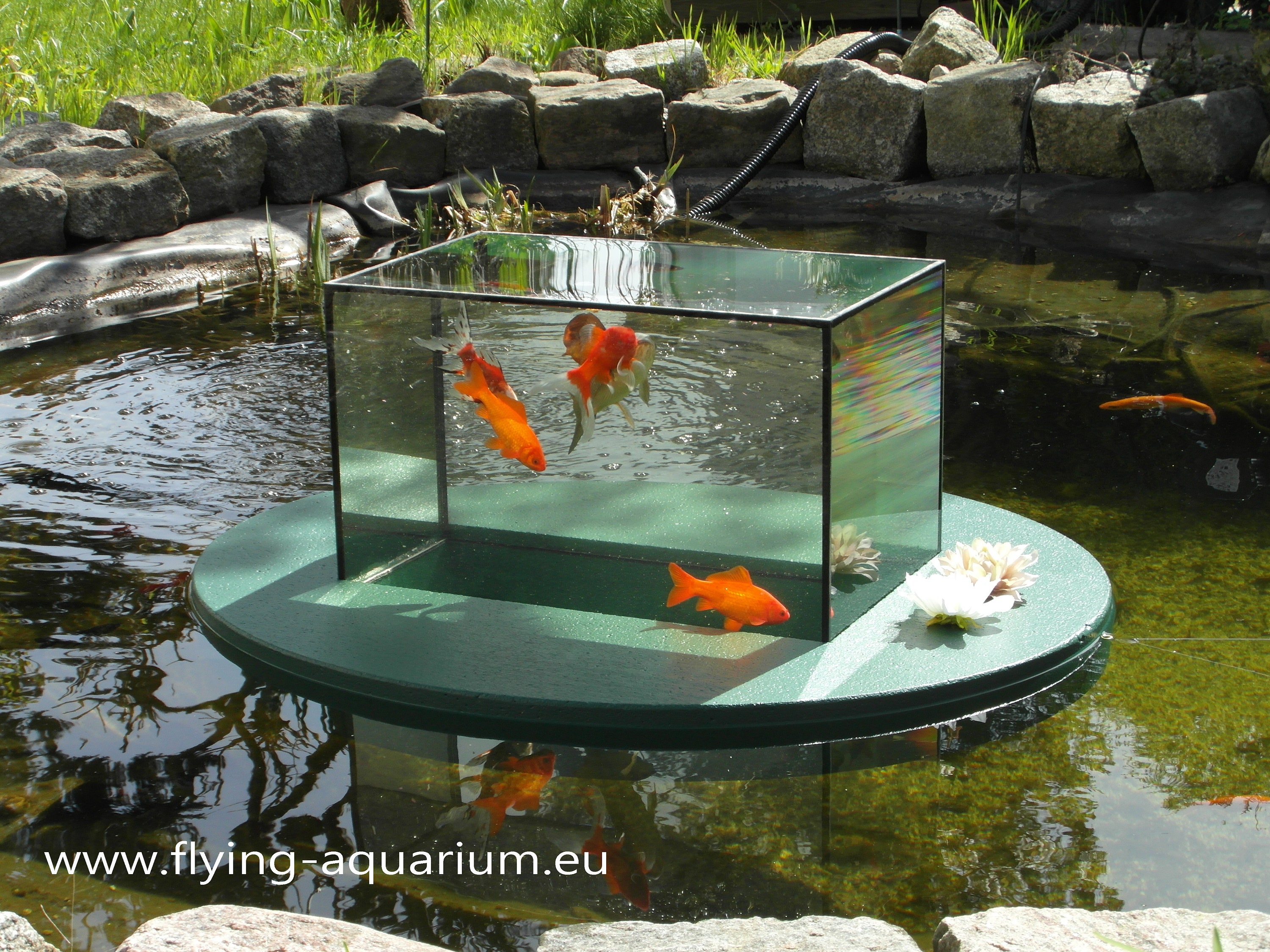 Flying-aquarium-oval© "basic" 4500 Green the Floating Pond Aquarium ...
