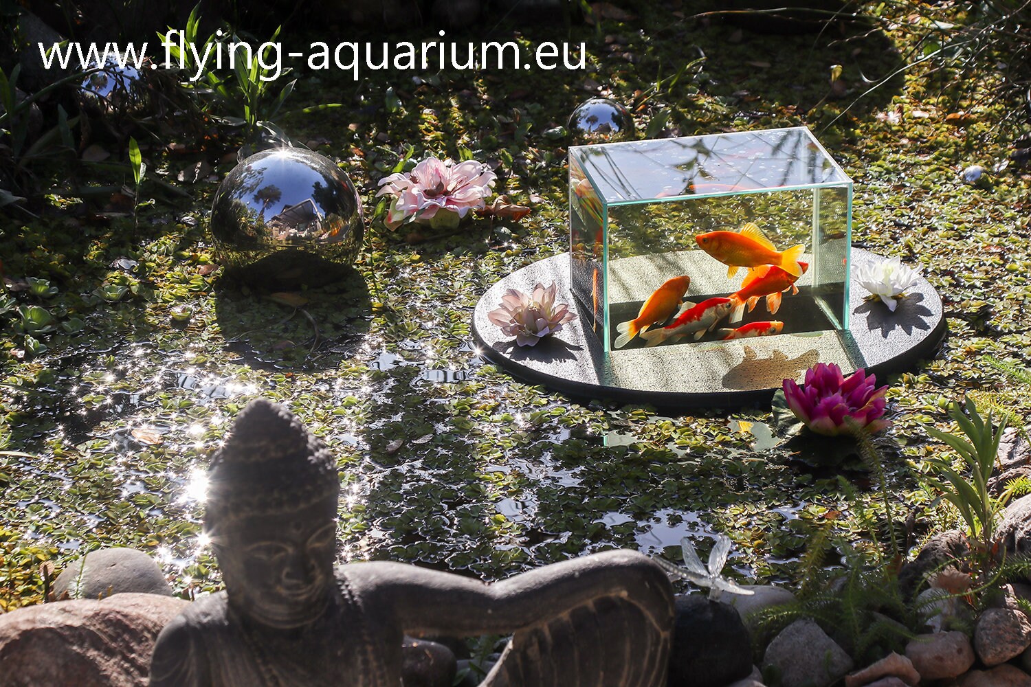Flying-aquarium-oval© "basic" 1200 Gray Fish Observatory Observation ...