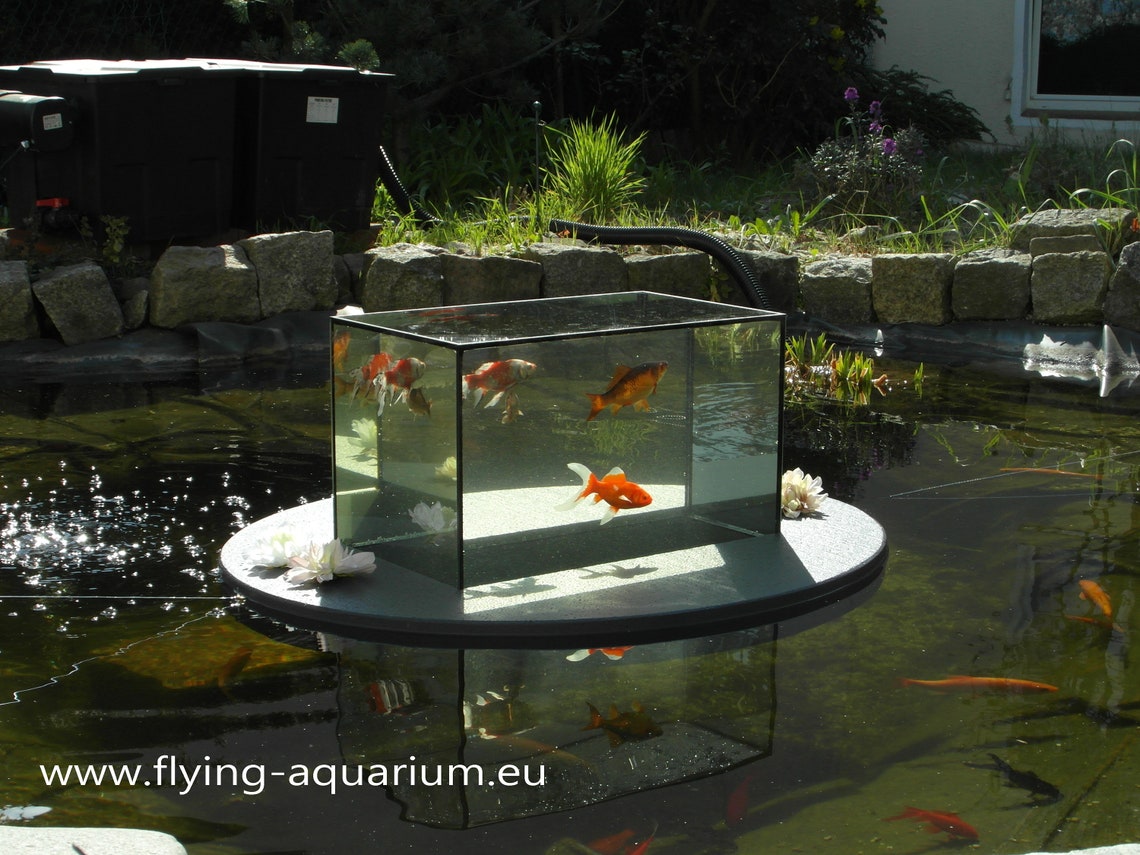 Flying-aquarium-oval© basic 4500 Gray the Floating Pond Aquarium Made ...