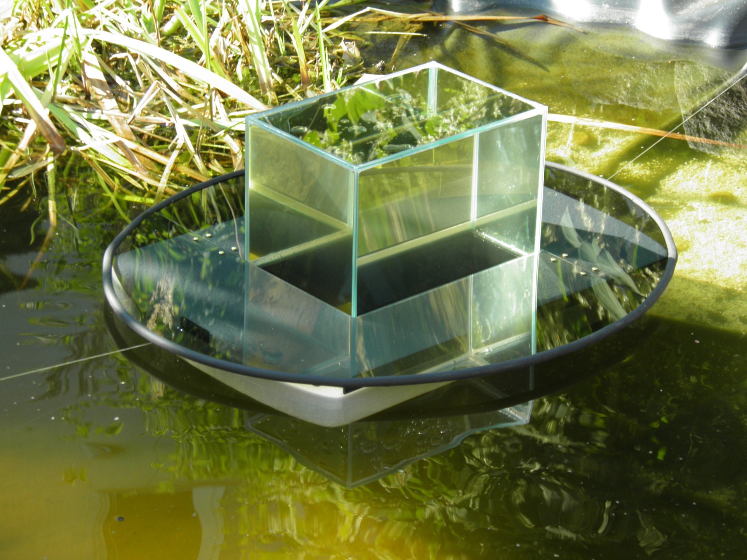 Flying-aquarium-oval© "hover" 1200 Gray Fish Observatory Observation ...