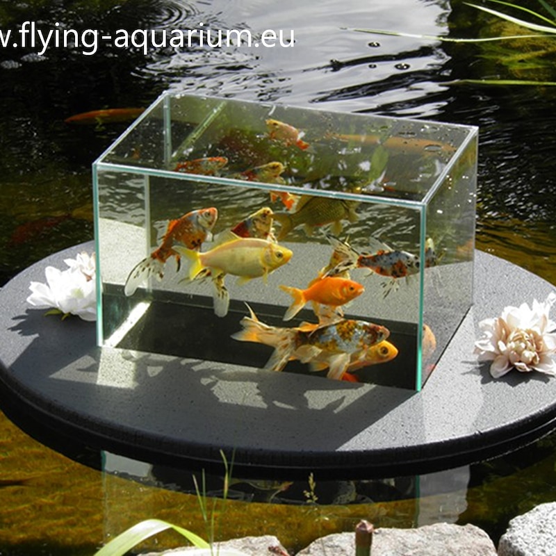 FlyingAquarium - Etsy