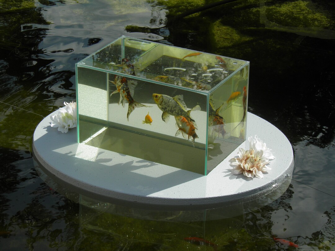 Flying-aquarium-oval© "basic" 2500 Foggy Gray Fish Observatory ...