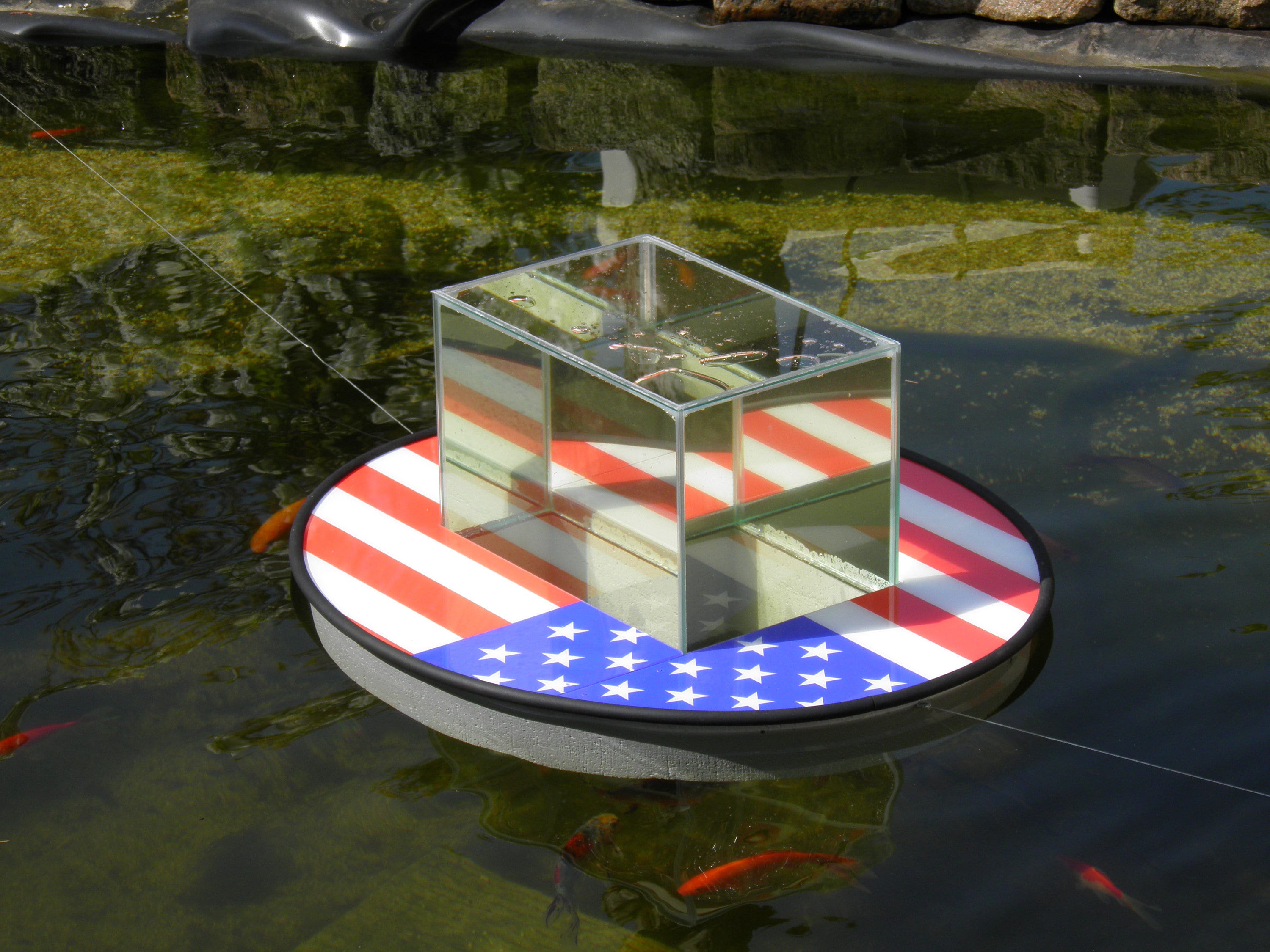 Flying-aquarium-oval© "elegance" 1200 US Flag Fish Observatory ...