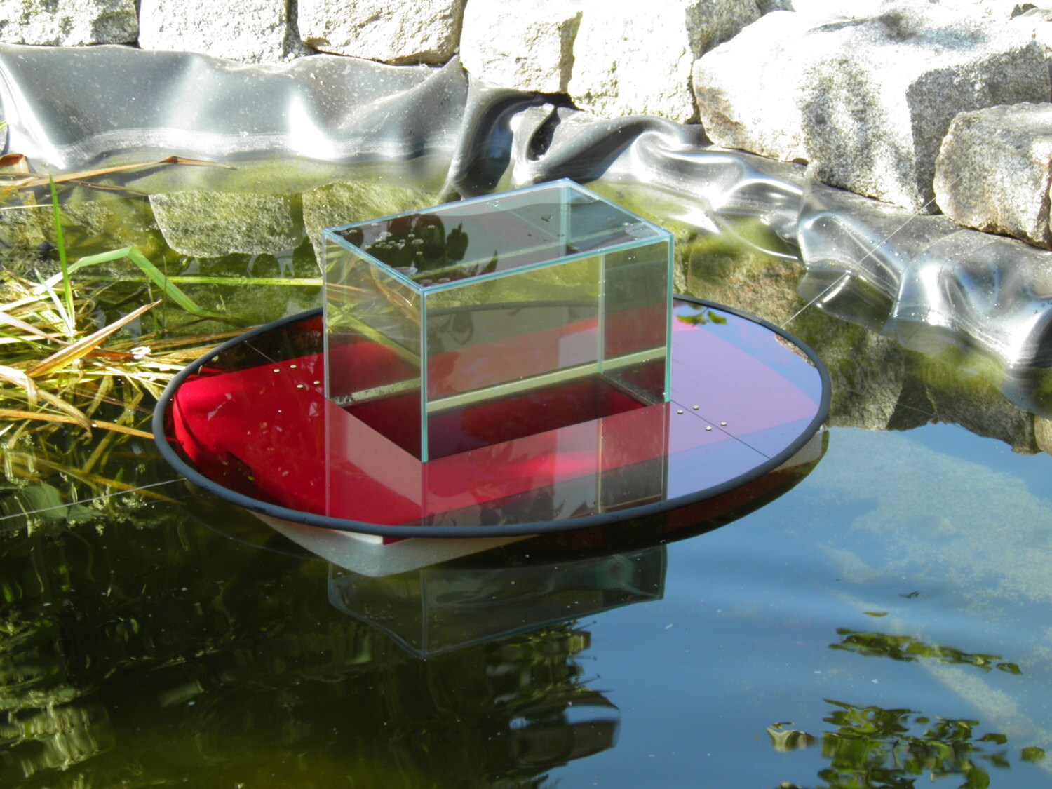 Flying-Aquarium-Oval© Hover 1200 red Fish | Etsy